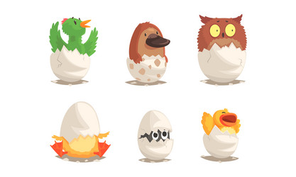 Funny bird baby hatching from egg Royalty Free Vector Image