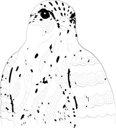 Dove Hunting Logo Vector Images (72)