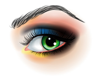 Eye shadow make up step step Royalty Free Vector Image