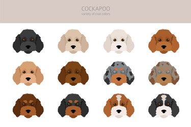 Cockapoo Vector Images (over 120)