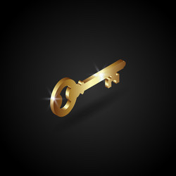 Luxury golden key Royalty Free Vector Image - VectorStock