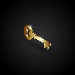 Luxury golden key Royalty Free Vector Image - VectorStock