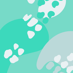 Minimalist abstract nature art shapes collection Vector Image