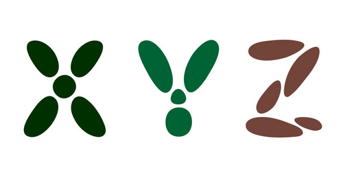 Uppercase letters x y z outline Royalty Free Vector Image