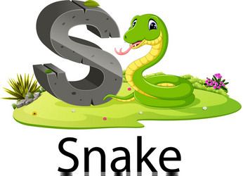 Snake S Shape Vector Images (93)
