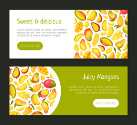 Ripe mango banner design with bright tropical Vector Image