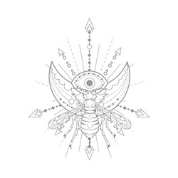 Bee Sacred Geometry Vector Images (98)