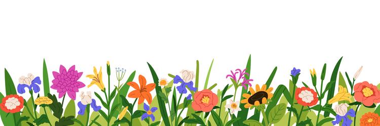 Floral Meadow Border Royalty Free Vector Image