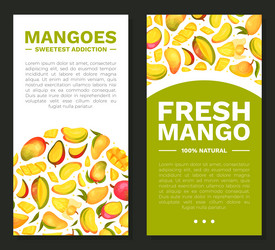 Ripe mango banner design with bright tropical Vector Image