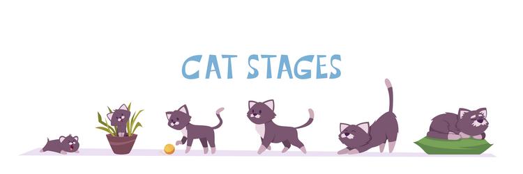 Cat Life Cycle Vector Images (94)