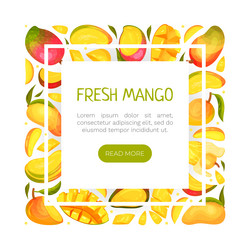 Ripe mango banner design with bright tropical Vector Image