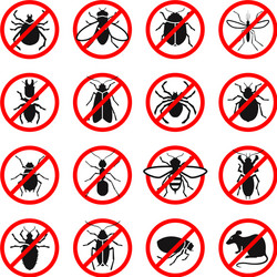 Pest and insect control icons set Royalty Free Vector Image