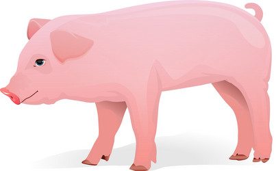 Pig Vector Images (over 88,000)