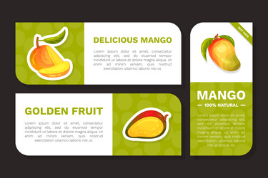 Ripe mango label design with bright tropical fruit