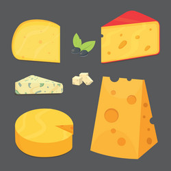 Cheese types in cartoon style Royalty Free Vector Image