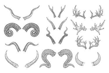 Animal horns sticker set Royalty Free Vector Image