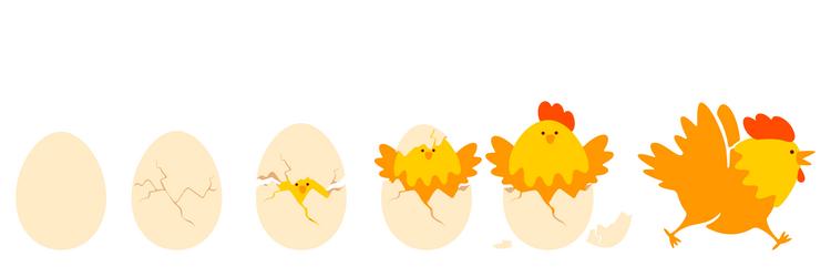 Chicken hatching from egg Royalty Free Vector Image