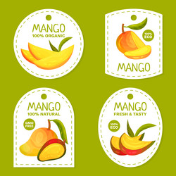 Ripe mango label design with bright tropical fruit