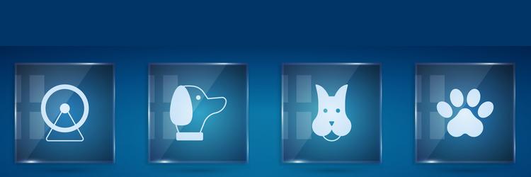 Hamster Footprint Vector Images (over 130)