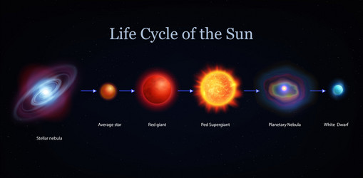 Sun life cycle stellar evolution Royalty Free Vector Image