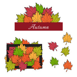 Autumn leaves decorate the forest floor Royalty Free Vector
