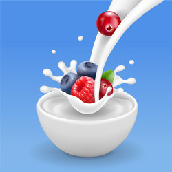 Forest mixed berries juice splash realistic Vector Image