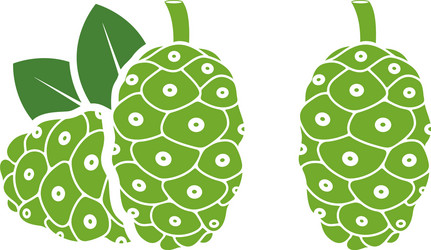 Noni fruit cartoon icon Royalty Free Vector Image
