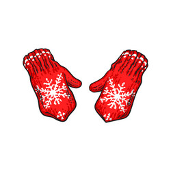 Winter mittens colorful set Royalty Free Vector Image