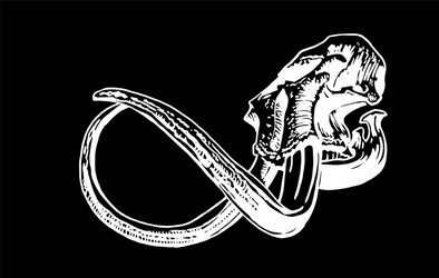 Graphical hand-drawn skull mammoth isolated Vector Image