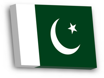 Square flag of pakistan Royalty Free Vector Image