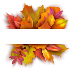 Autumn frame Royalty Free Vector Image - VectorStock