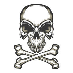 Skull face emblem logo Royalty Free Vector Image