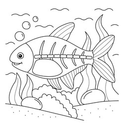 X-ray fish animal coloring page Royalty Free Vector Image