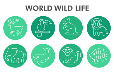 Kangaroo Infographic Vector Images (98)