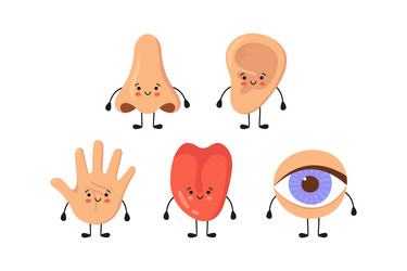 Funny five senses concept with human organs Vector Image