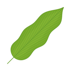 Long Leaf Vector Images (over 17,000)