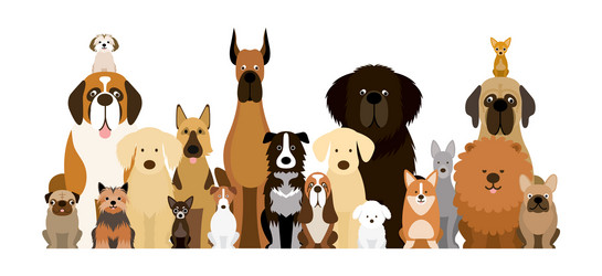 Front view of dogs group standing or sitting Vector Image