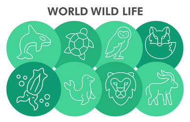 Kangaroo Infographic Vector Images (98)