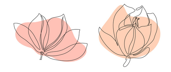 Simple line art spring flowers peonies lily Vector Image