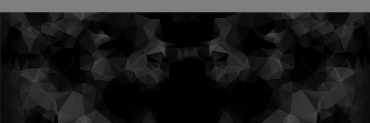 Abstract black triangle polygons texture Vector Image