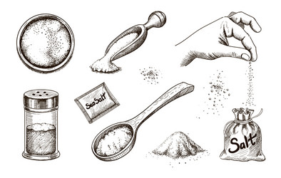 Bowl Salt Drawing Vector Images (over 220)