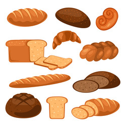 Roasted toasts bread set Royalty Free Vector Image