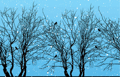 Birch grove pattern of trees Royalty Free Vector Image