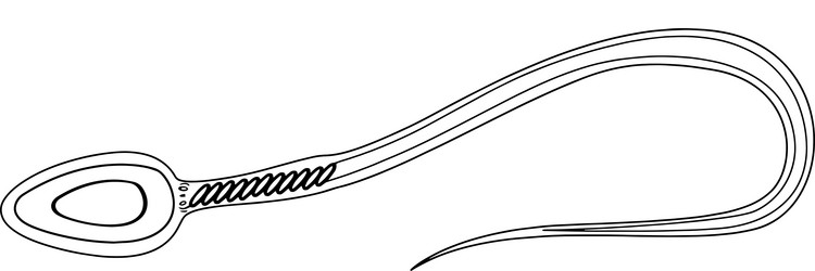 Sperm Cell Vector Images (over 3,500)