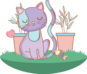 Cat Whiskers Plant Vector Images (50)