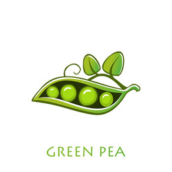 Pea Sweet Cartoon Vector Images (over 710)