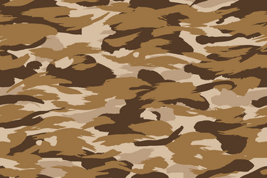 Seamless desert camouflage abstract pattern Vector Image