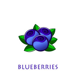 Blueberry Cartoon Vector Images (over 9,600)