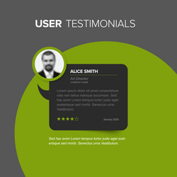 Client user testimonial review layout template Vector Image