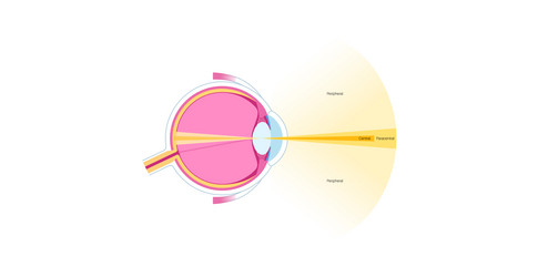 Peripheral vision poster Royalty Free Vector Image